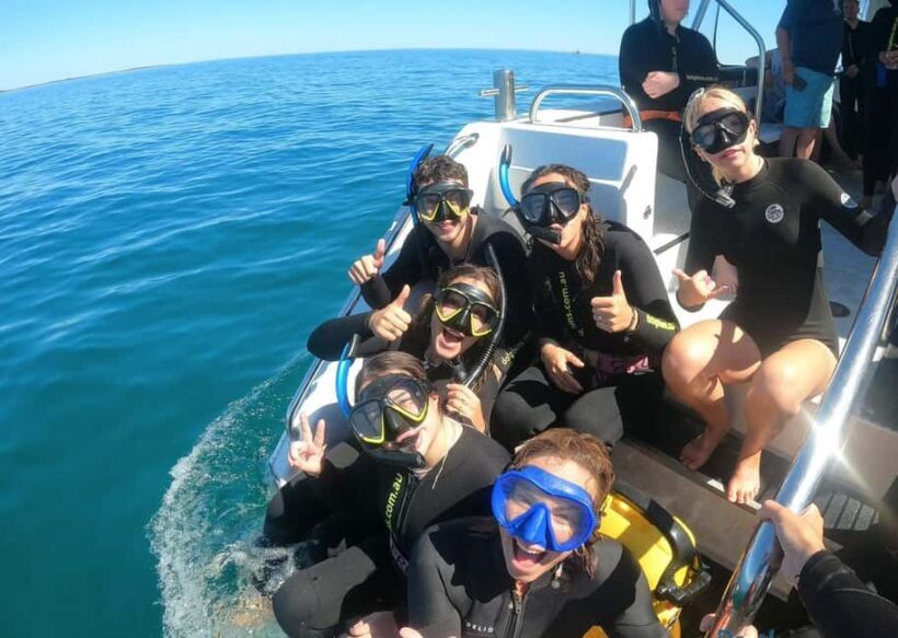 Perth: Swim with Wild Dolphins Tour - Final Thoughts: Who Will Love This Tour?