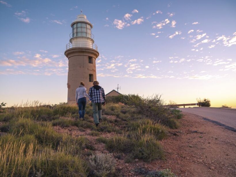 Perth to Exmouth 6-Day Coral Coaster One-Way Journey - Day 4: Coral Bay — Reef, Beaches, and Optional Excursions