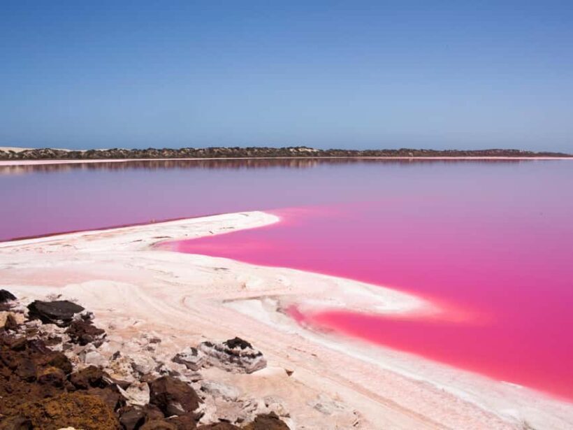 Perth to Exmouth & Return with Monkey Mia & Ningaloo Reef - A Detailed Look at the Itinerary
