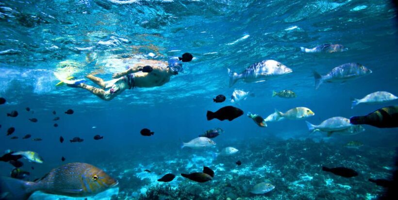 Perth to Exmouth & Return with Monkey Mia & Ningaloo Reef - Who Should Consider This Tour?