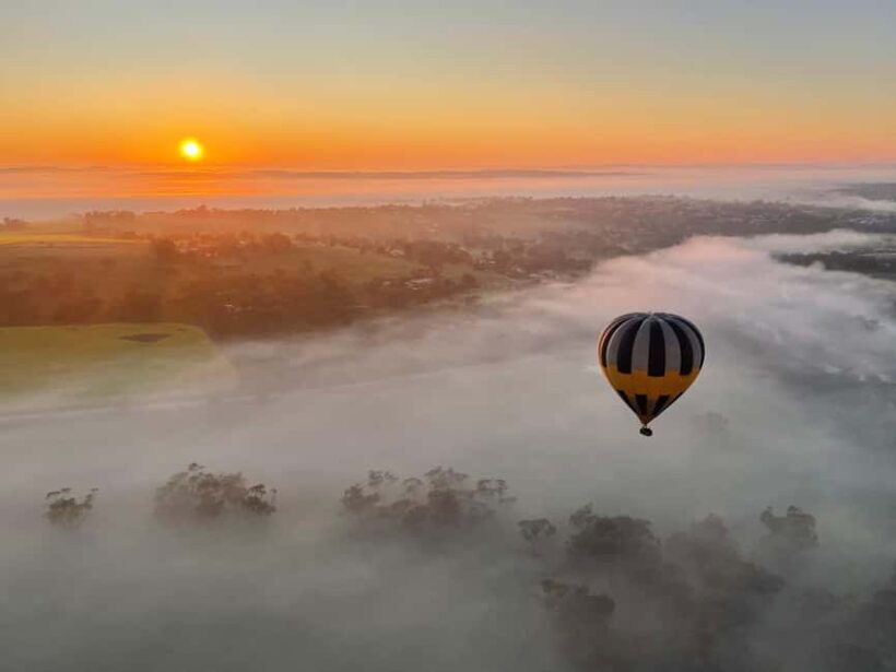 Perth to Northam: Balloon flight including shuttle bus - Stunning Views of the Avon Valley