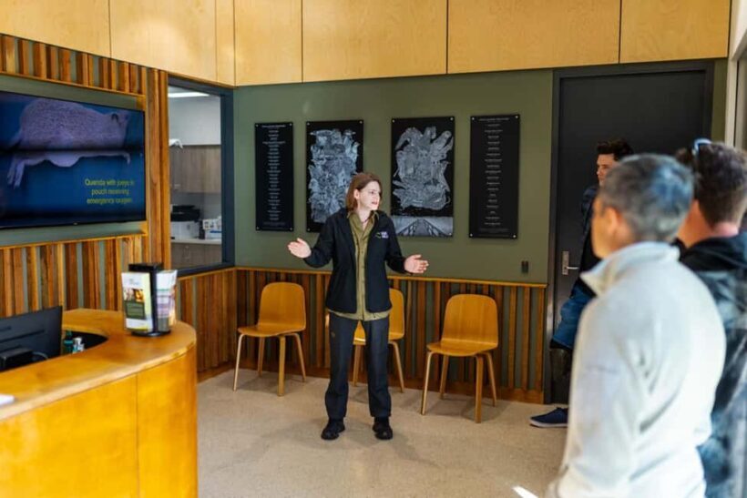 Perth: WA Wildlife Hospital and Native Fauna Encounter Tour - Key Points