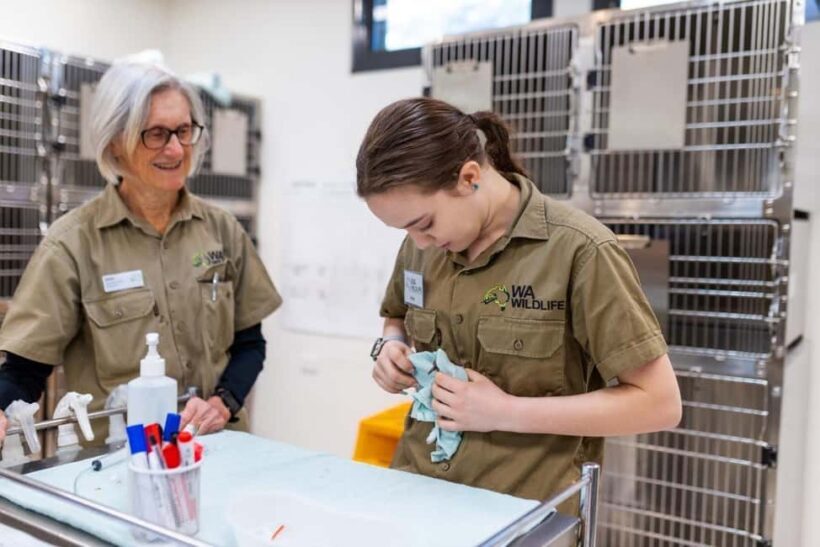Perth: WA Wildlife Hospital and Native Fauna Encounter Tour - FAQ