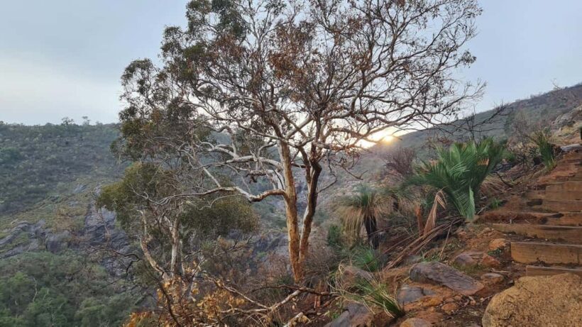 Perth: Waterfalls, Wildflowers & Wandoo Hiking Experience - Key Points