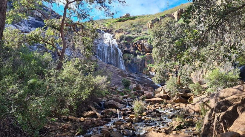 Perth: Waterfalls, Wildflowers & Wandoo Hiking Experience - An In-Depth Look at the Waterfalls, Wildflowers & Wandoo Hiking Experience