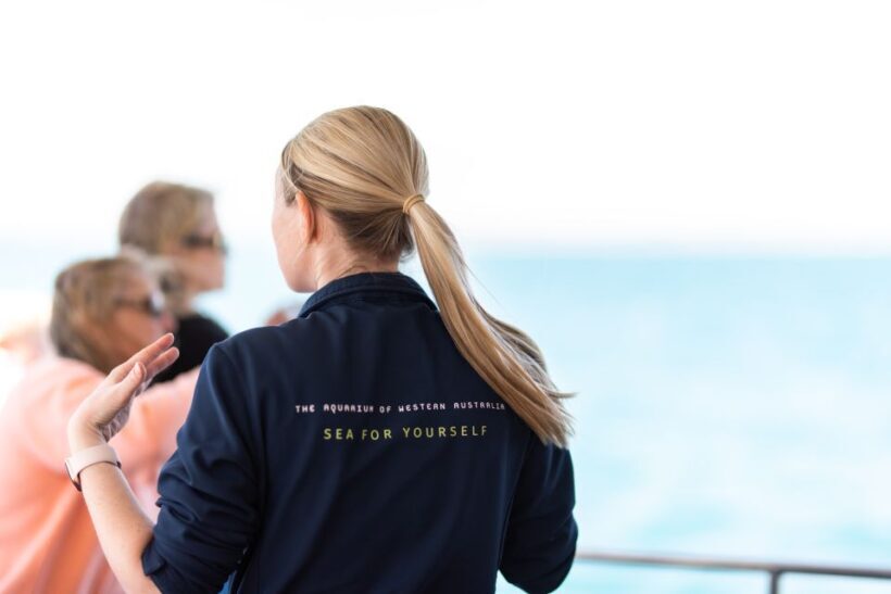 Perth: Whale Watching Cruise from Hillarys Boat Harbour - The Sum Up: Who Is This Tour For?