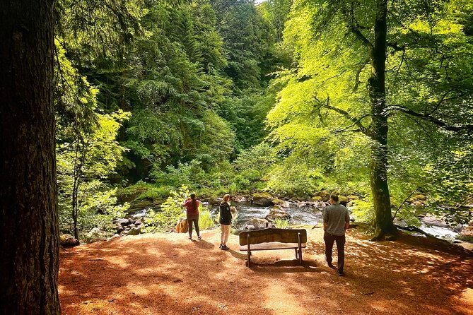 Perthshire Highlands: Private Land Rover Tour - Who is This Tour Best For?