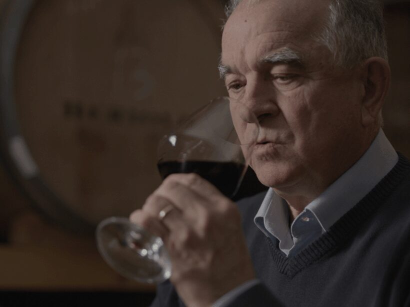 Perugia Winery Visit & Tasting near the Lake Trasimeno - An In-Depth Look at the Experience