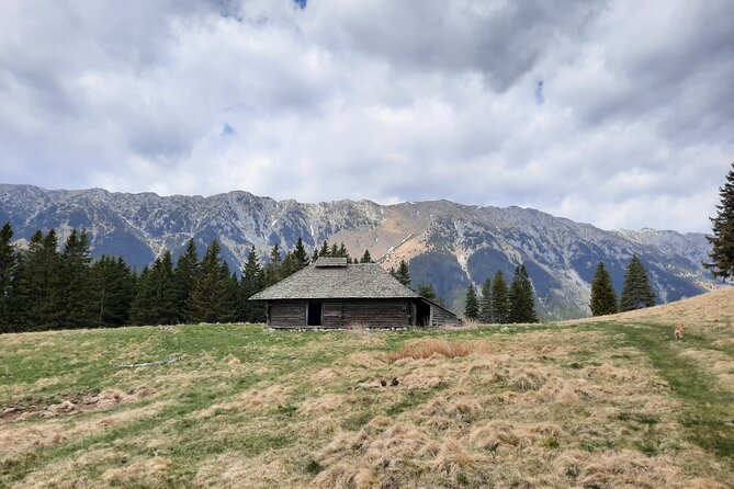 Pestera and Magura Full-Day Private Walking Tour From Brasov - Trail Details