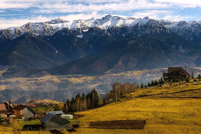 Pestera and Magura Full-Day Private Walking Tour From Brasov - Reviews and Experiences