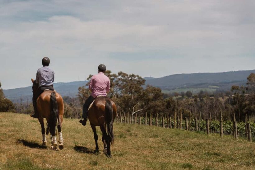 Petaluma: Horseback Riding and Wine Tasting Tour - An Introduction to the Petaluma Horseback and Wine Experience