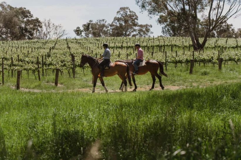 PETALUMA: VIP Equestrian & Private Wine Lunch with Olympian - An Authentic Taste of South Australia’s Vineyards and Equestrian Heritage