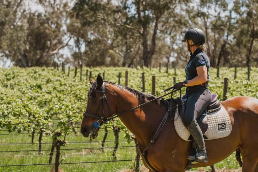 PETALUMA: VIP Equestrian & Private Wine Lunch with Olympian - What To Expect During Your Visit