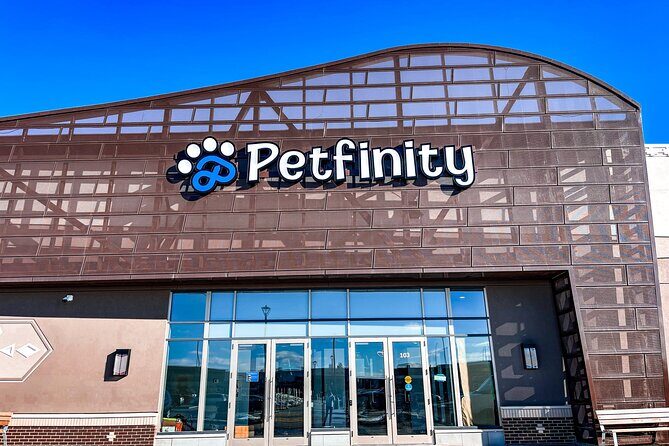Petfinity Indoor Dog Park in Calgary - Key Points