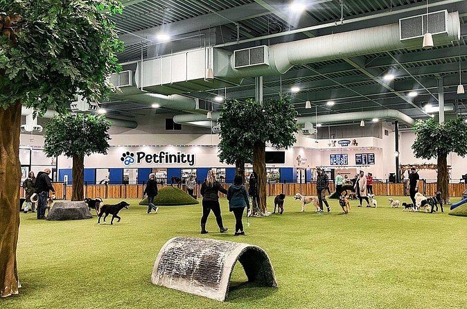 Petfinity Indoor Dog Park in Calgary - Final thoughts
