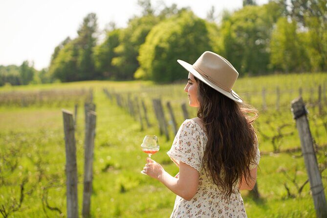 Petite Nation Wine & Cider Tour - Day Trip From Ottawa & Gatineau - Starting Off: Convenience and Comfort