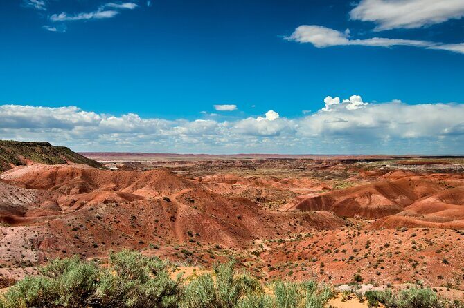 Petrified Forest National Park Self Guided Audio Driving Tour - Stop 5: Blue Mesa
