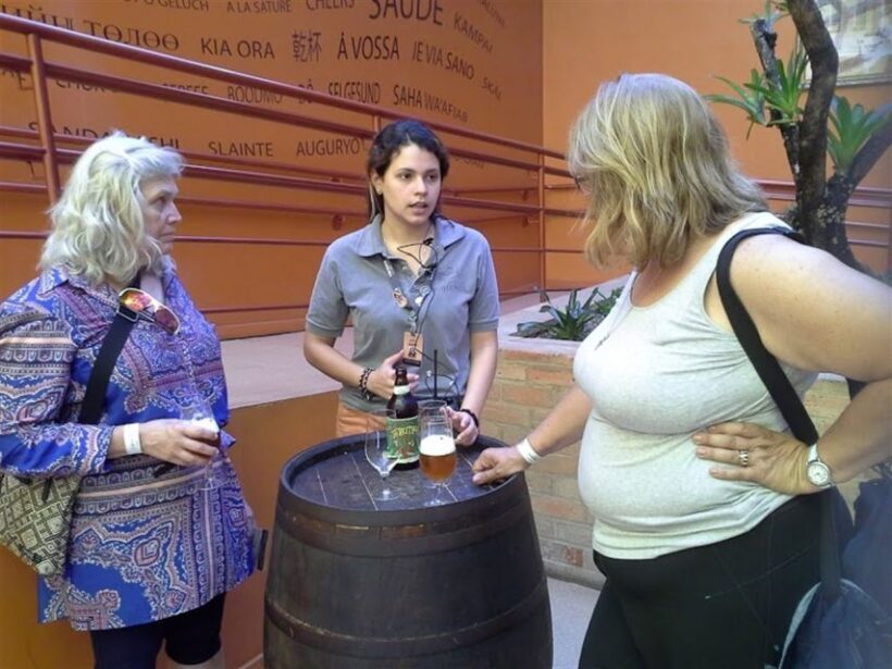 Petrópolis: Private Tour with Museum Ticket - The Value of a Private Guide