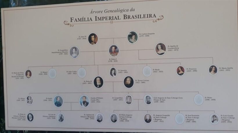 Petrópolis: Private Tour with Museum Ticket - Authentic Experiences and Hidden Gems