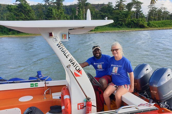 PH Whale Watch & Dolphin Cruise in Dominica - Pricing & Value