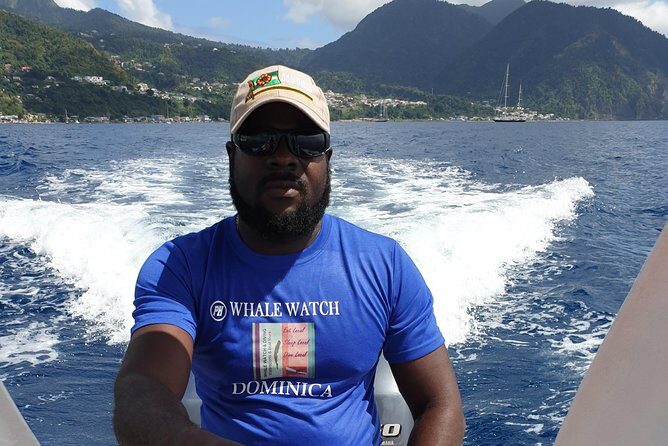 PH Whale Watch & Dolphin Cruise in Dominica - The Sum Up