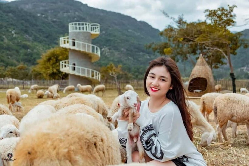 Phan Rang Full-Day: Hang Rai, Vinh Hy, Vineyard & Sheep Farm - What’s Included and What’s Not