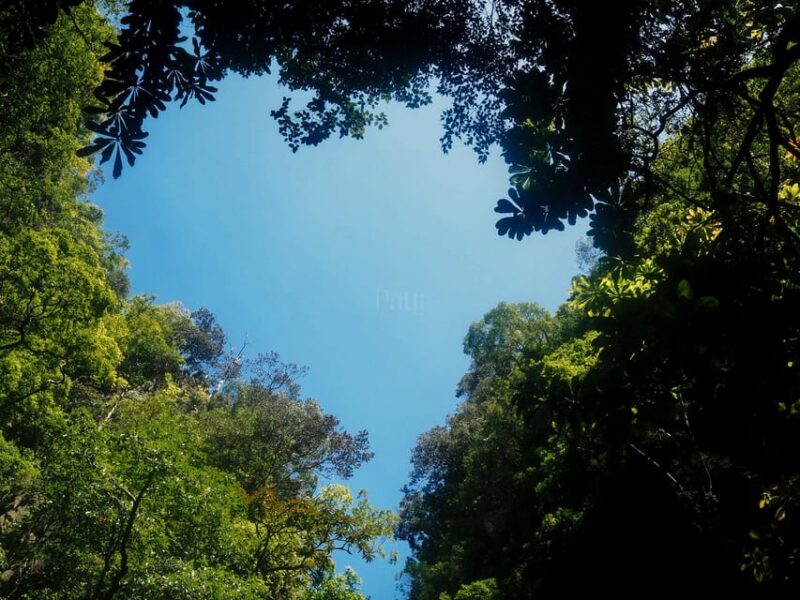 Phang Nga Bay Day Tour & Canoeing by Big Boat (Not crowded) - Discovering the Magic of Phang Nga Bay