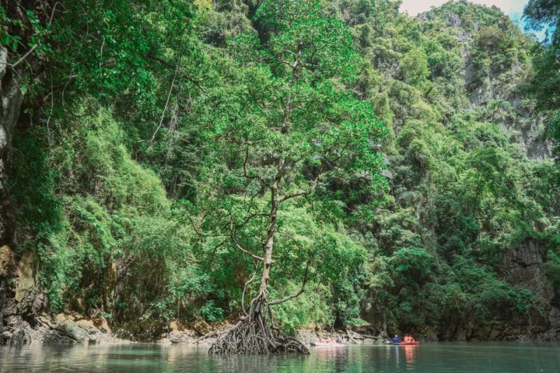 Phang Nga Bay Day Tour & Canoeing by Big Boat (Not crowded) - Final Thoughts: Is This Tour Worth It?