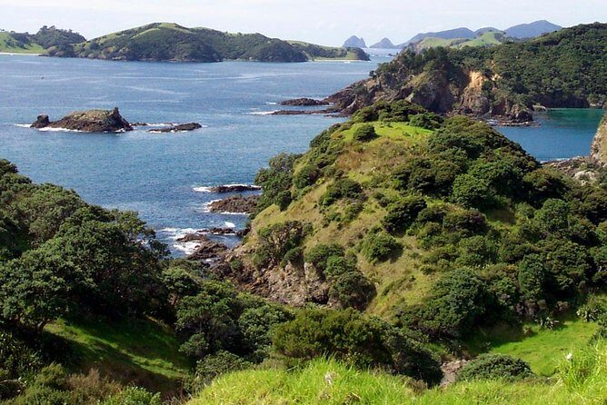 Phantom Sailing Bay of Islands - Why This Tour Offers Great Value