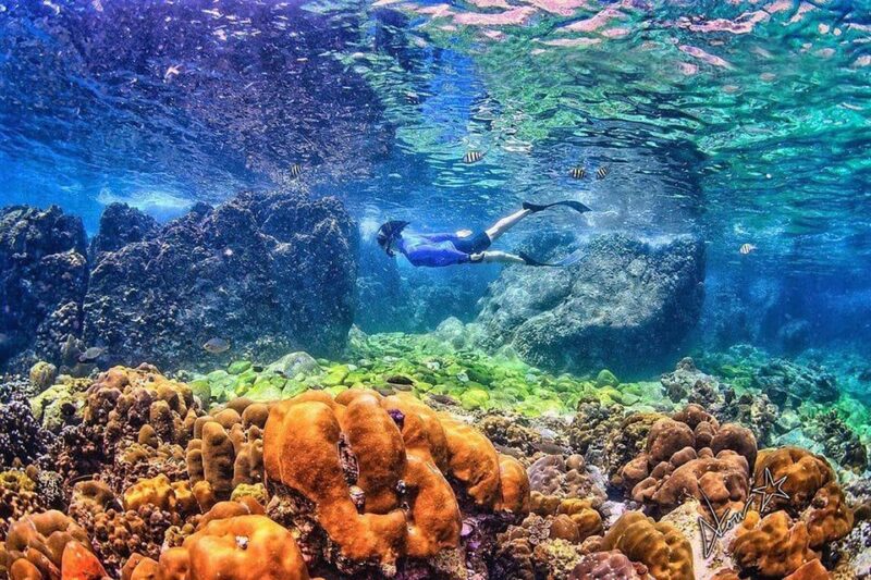 Phi Phi and Khai Islands Speedboat Tour with Fins - What Makes This Tour Stand Out?