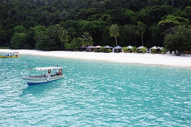 Phi Phi & Bamboo Island with Lunch by Speed Boat Full Day - The Itinerary in Detail: What to Expect From Start to Finish