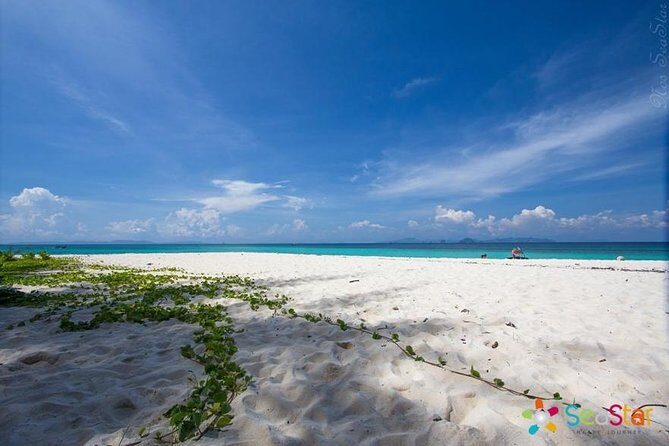 Phi Phi & Bamboo Islands Full-Day Tour by Speedboat From Phuket - FAQ