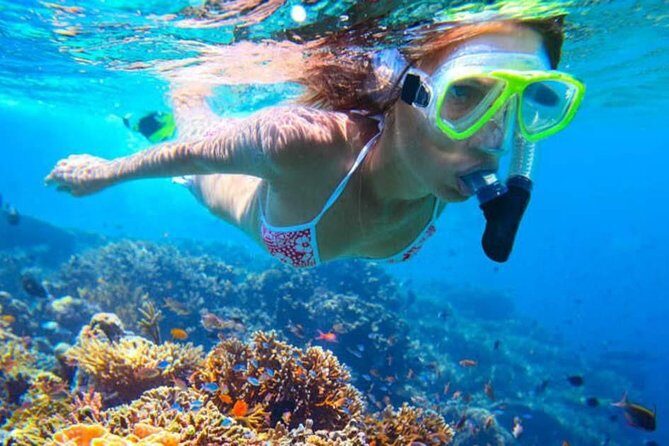 Phi Phi Day Trip with Maya Bay and Khai Islands - FAQs