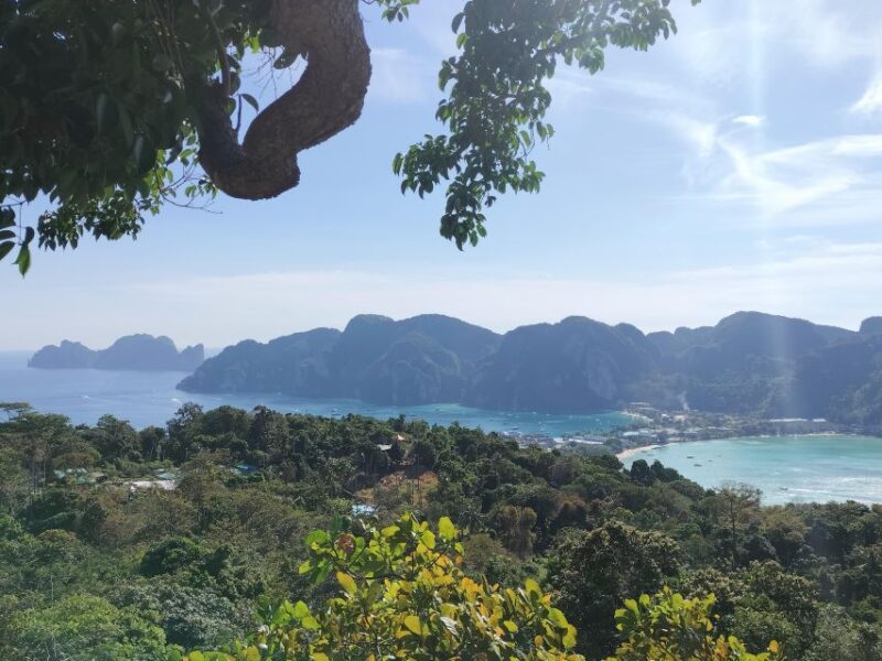 Phi Phi: Guided Jungle Trek & Night Swim with Plankton - Key Points
