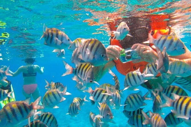 Phi Phi Half Day Tour Speed Boat Tour - What You Can Expect from This Tour