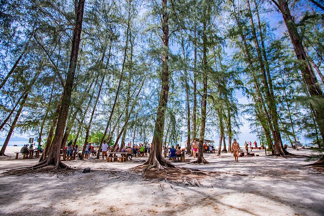 Phi Phi Island and Bamboo Island Snorkeling Tour From Krabi - Final Thoughts: Is This Tour for You?