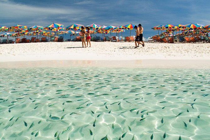 Phi Phi Island Enjoy Snorkeling & Colourful Fishes From Phuket - Final Thoughts