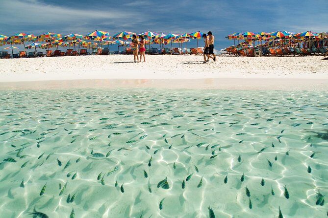 Phi Phi Island from Phuket by Speedboat (SHA Plus) - FAQs