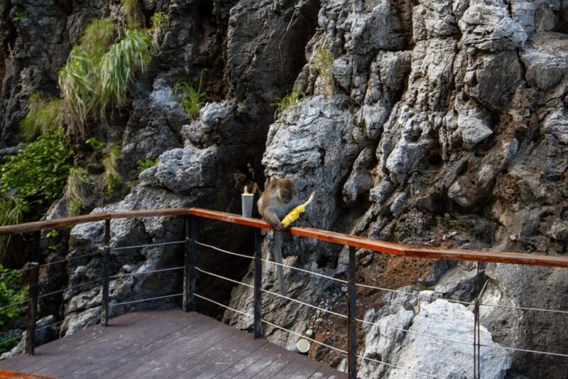 Phi Phi Island: Maya bay Sunset & Plankton by Speedboat - Who Is This Tour Best For?