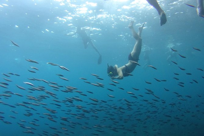 PHI PHI ISLAND - Sunrise Trip From Phi Phi Don By Phi Phi Local Tour - Final Thoughts: Is It Worth It?