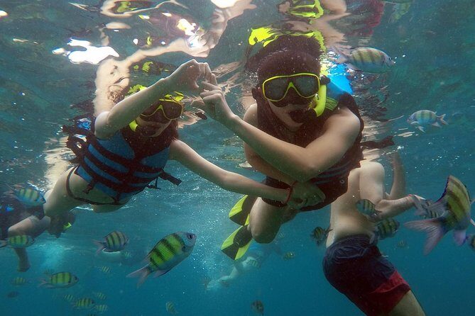 Phi Phi Islands Day Tour Bamboo and Maya Bay with Lunch By Speedboat - Timing and Pacing