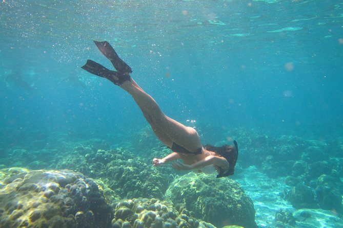 Phi Phi Islands Premium Day Trip Speedboat with Seaview Lunch by ALP Tour - Why This Tour Works for You