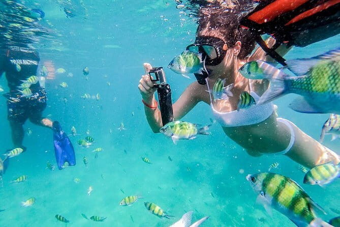 Phi Phi & Khai Islands Full-Day Tour by Speedboat From Phuket - The Sum Up