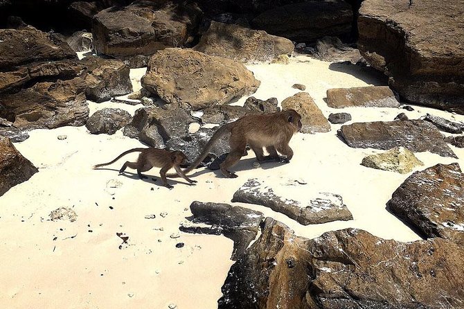 Phi Phi, Maiton, Khai Island Sunset Romantic Trip By Phuket Seahorse Marine - What Travelers Are Saying