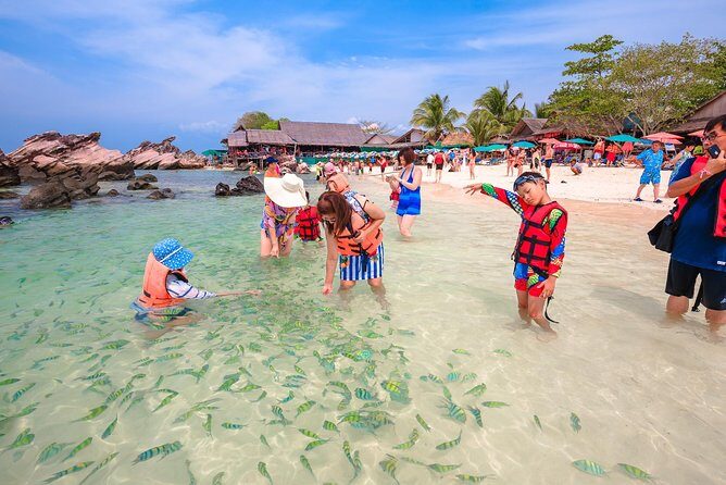Phi Phi Maiton Khai Maiton Premium Tour - A Closer Look at the Itinerary