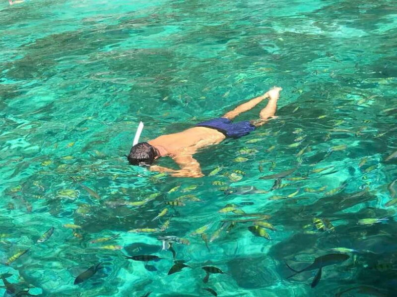 Phi Phi: Private 7 Islands Longtail to Maya Bay and Bamboo - Key Points