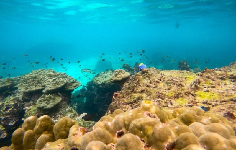 Phi Phi: Private Longtail Boat to Maya Bay with Snorkeling - FAQ