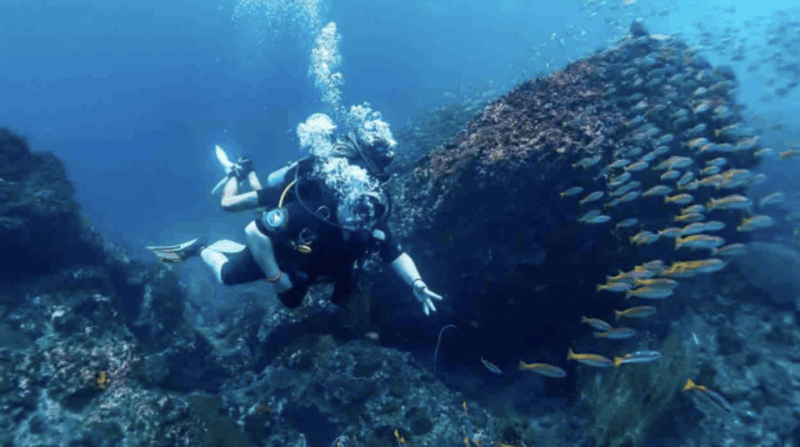 Phi Phi: Scuba diving with Portuguese speaking instructor - Key Points