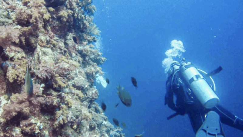 Phi Phi: Scuba diving with Portuguese speaking instructor - Authentic Insights from Previous Participants