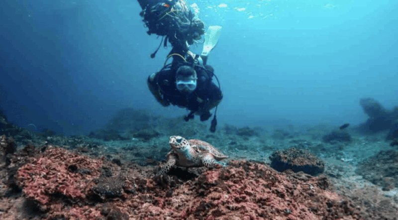 Phi Phi: Scuba diving with Portuguese speaking instructor - Final Thoughts: Is This Tour Right for You?